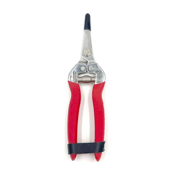 Long Straight Snip - Corona – Venn + Maker